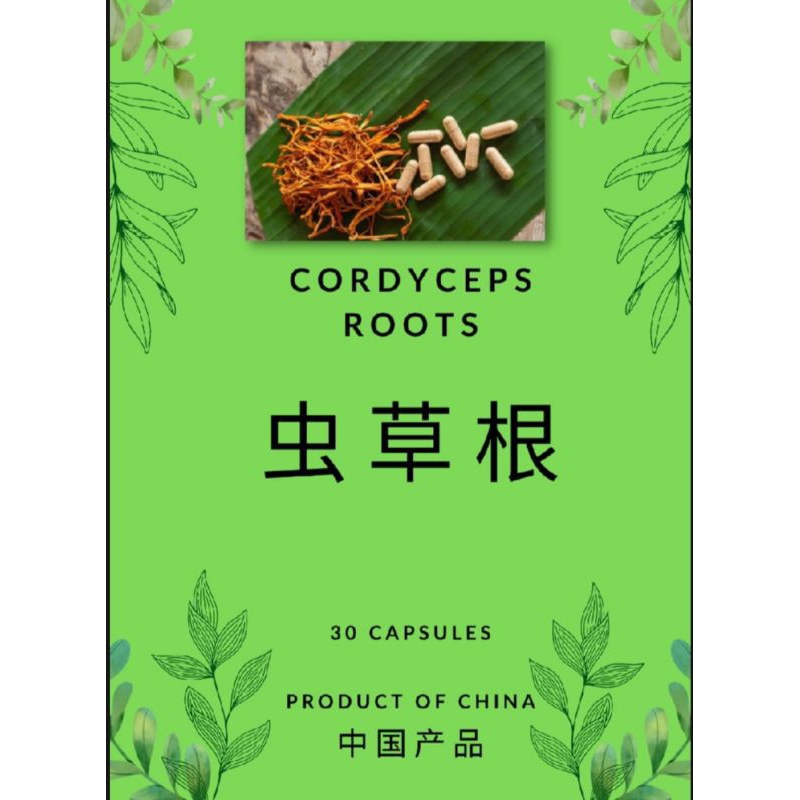 CWT Cordyceps Herbs (Regular)虫草根 | Shopee Malaysia