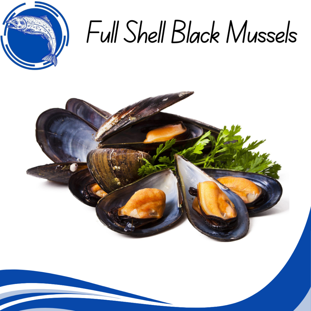 🔥New🔥 Frozen Full Shell Black Mussels 10/20 [ 1KG ] | Shopee Malaysia
