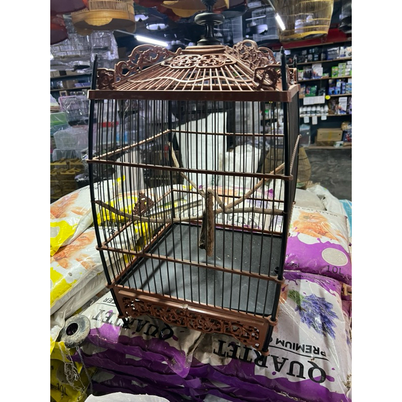 Sangkar merbah jambul cantik/mewah digantung (bilah buluh) | Shopee ...