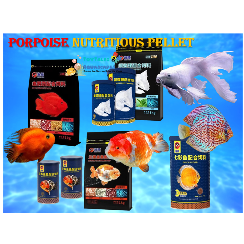 Porpoise Food Pellet for Parrot Fish, Discus, Butterfly Koi, Carp ...