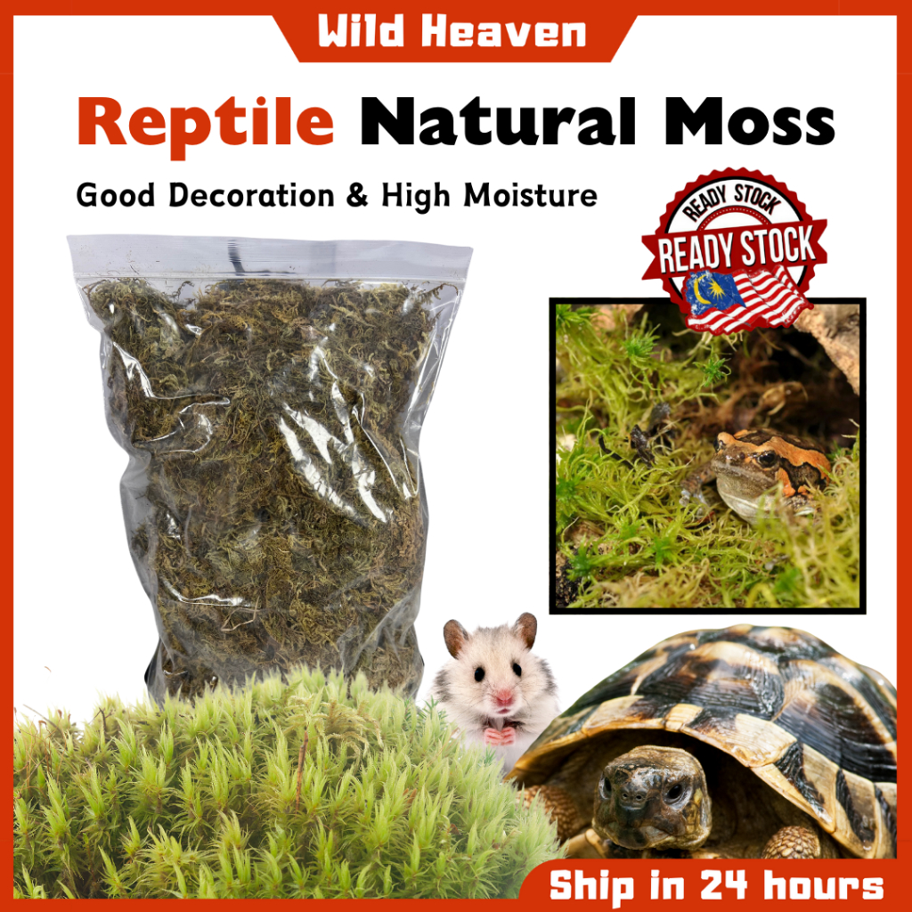 Reptile Moss Bedding High Humidity Moisture Tortoise Turtle Frog ...