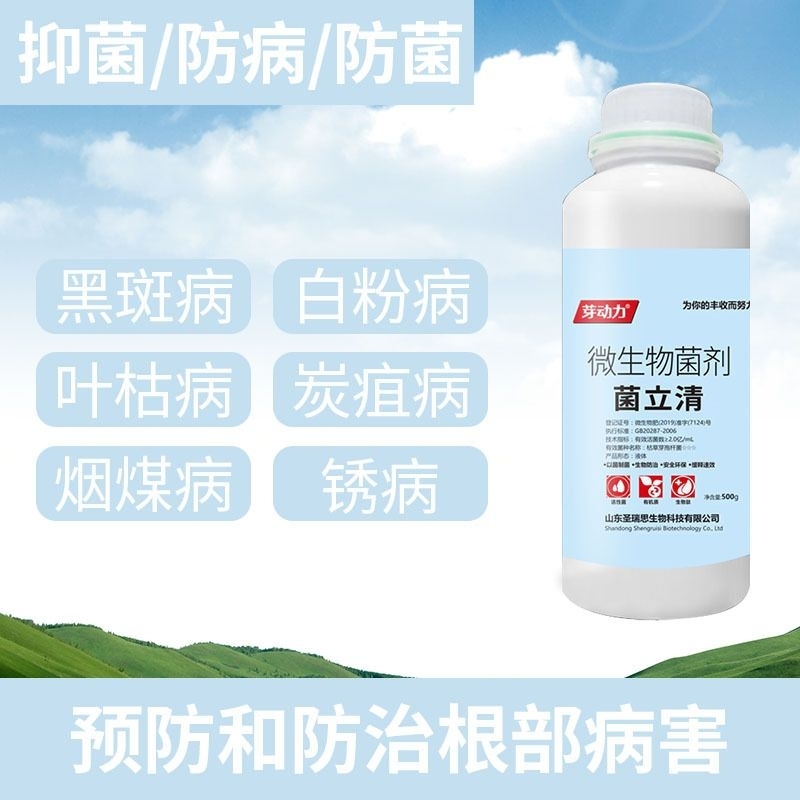 500g Fungicide Ubat Kulat 菌药 Bintik Daun Alga Hawar Daun Karat Putih ...