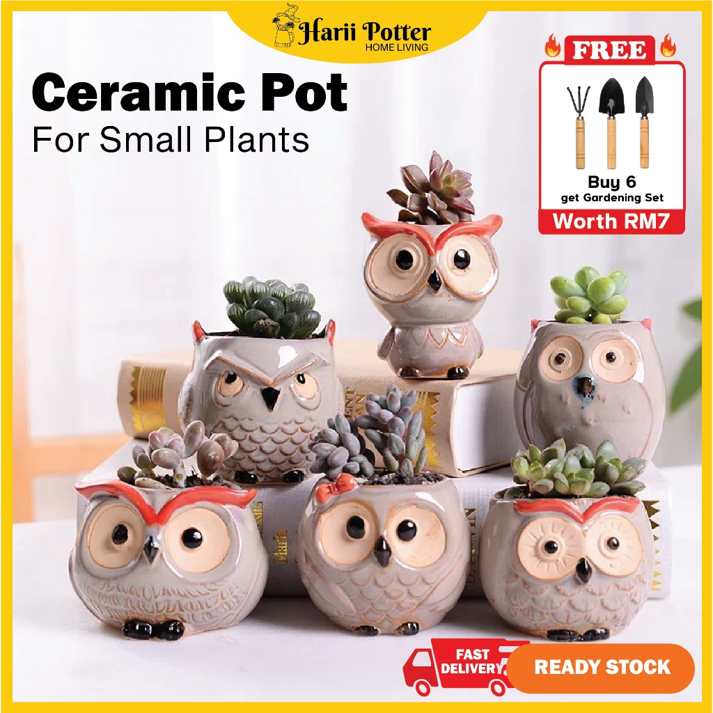 Owl Ceramic Pot For Plant Cactus Pot Succulent Pot Small Flower Pot ...