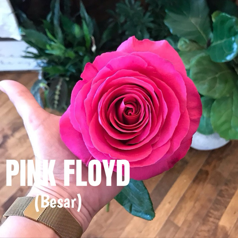 ROSE ID SUPER SPECIAL | Shopee Malaysia