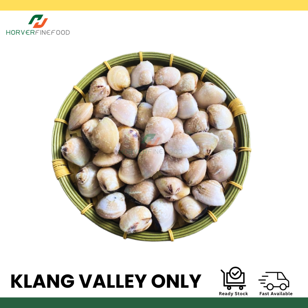 [Frozen] White Clam (Sah Pak) 沙白 [KLANG VALLEY ONLY] | Shopee Malaysia