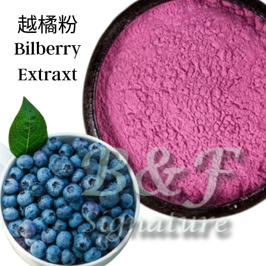 Bilberry Extract Powder 30g - 250g Serbuk Ekstrak Bilberry 越橘粉 | Shopee ...