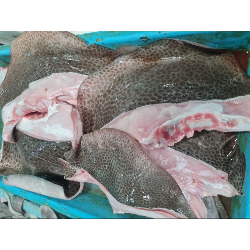 Ikan Pari (Stingray) FROZEN 10kg PAKISTAN | Shopee Malaysia