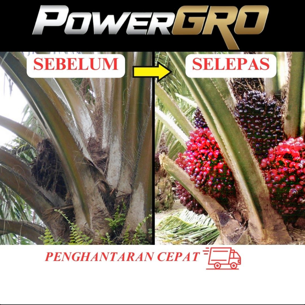 Powergro Baja Sawit PowerGro Microb 4 Liter -Baja Foliar Semburan 100% ...