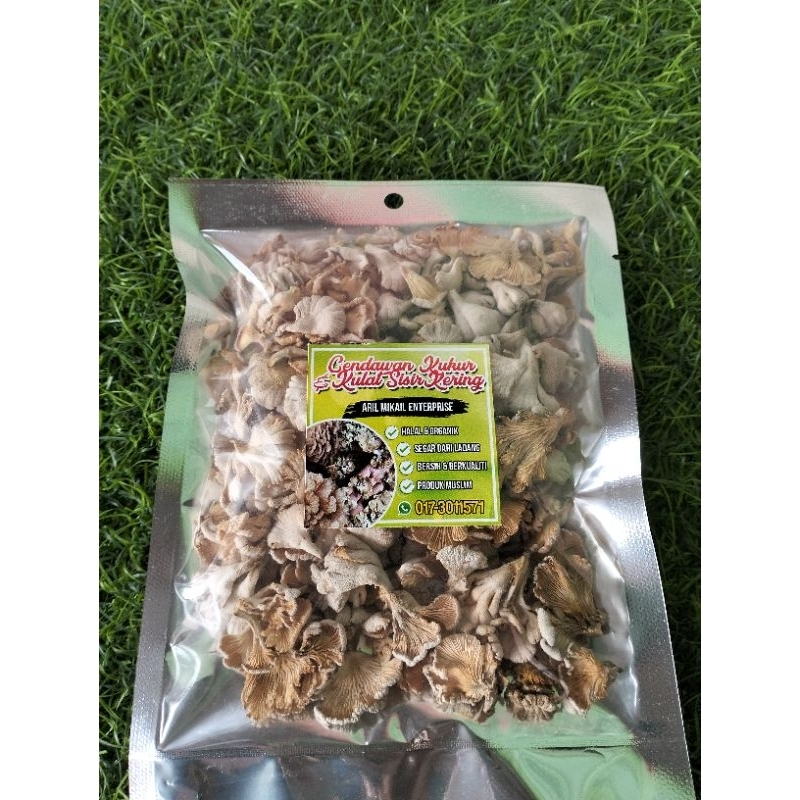 cendawan kukur @ sisir kering | Shopee Malaysia