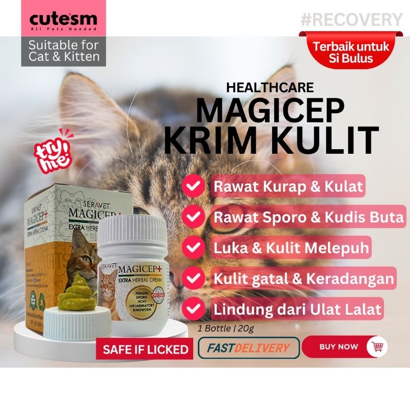 CAT & KITTEN 𝐊𝐑𝐈𝐌 𝐊𝐔𝐑𝐀𝐏, 𝐒𝐏𝐎𝐑𝐎 & 𝐊𝐔𝐃𝐈𝐒 𝐁𝐔𝐓𝐀 𝐊𝐔𝐂𝐈𝐍𝐆 Anti Bacteria dan ...