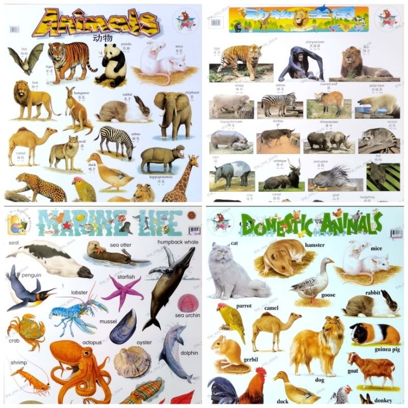 *Animals*Educational Poster For Kindergarten (Ready Stock) | Shopee ...