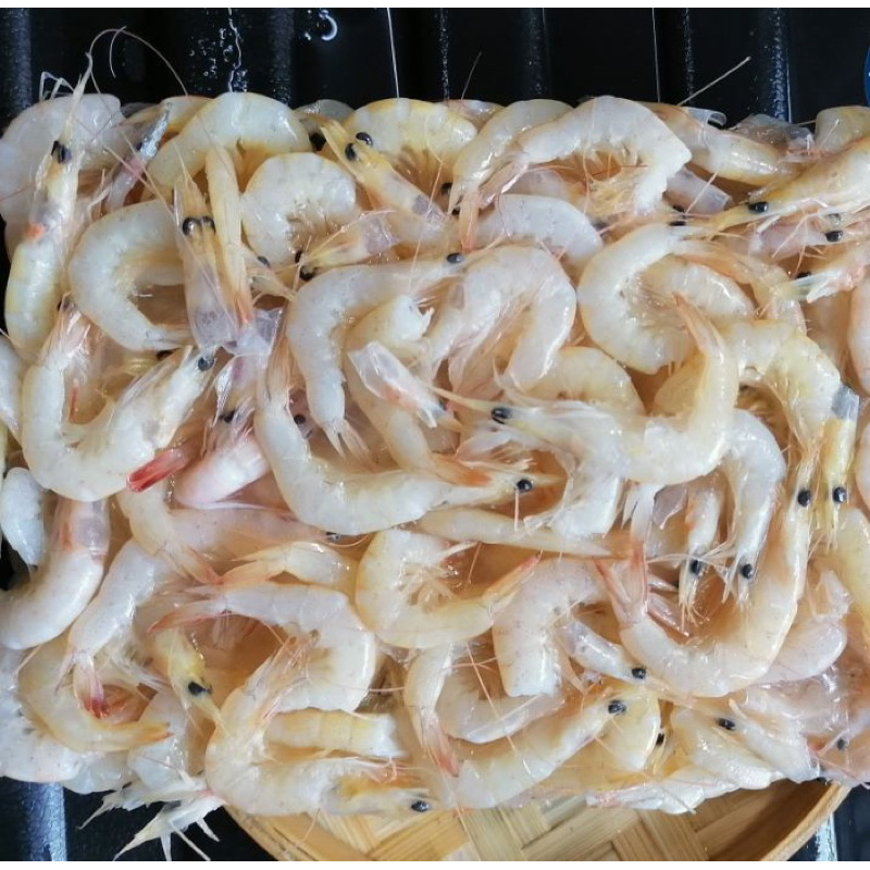 Baby White Prawn 500gm | Shopee Malaysia