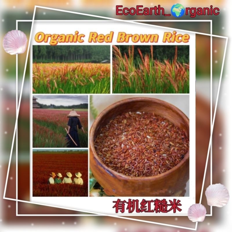 ORGANIC RED BROWN RICE 500G 1KG 有机红糙米 Exp:5/2026 | Shopee Malaysia