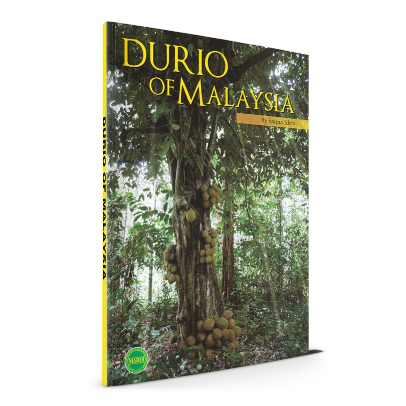 Durio of Malaysia - 24 Species of Durio Available in the Country ...
