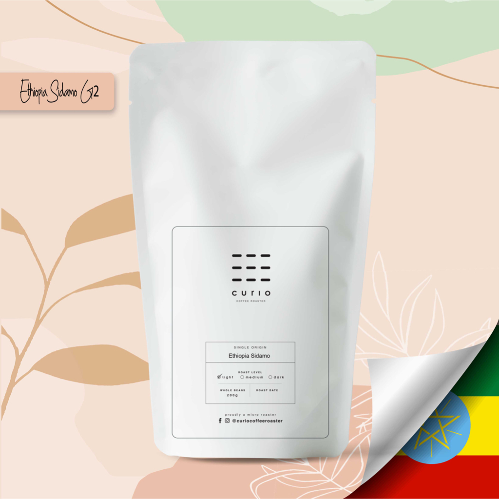 Ethiopia Single Origin [Yirgacheffe Sidamo G2] Medium Roast by Curio Coffee Roaster | Shopee ...