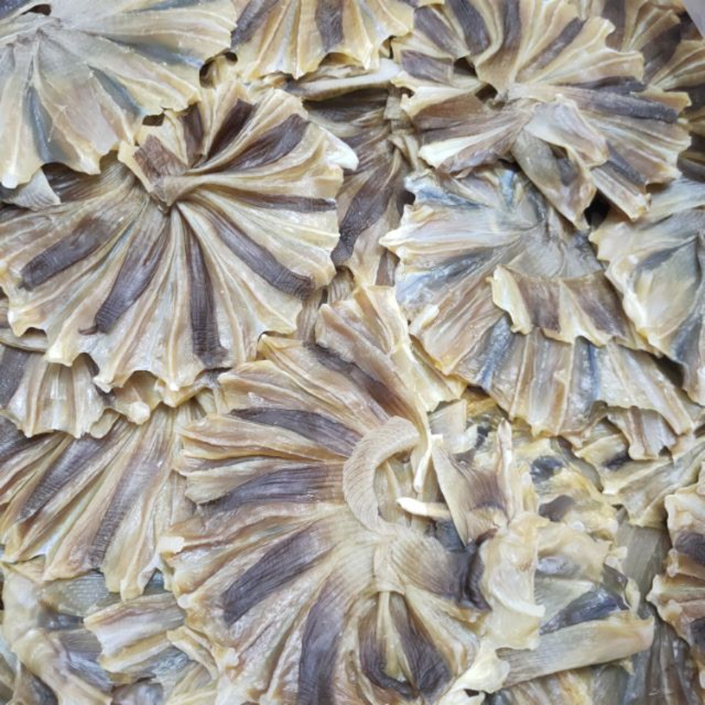 IKAN PARI KERING 500GRAM FRESH | Shopee Malaysia