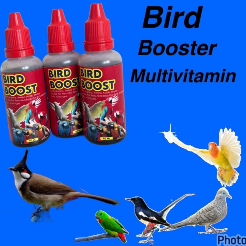 Bird Booster Multivitamin & Super Breeding | Shopee Malaysia