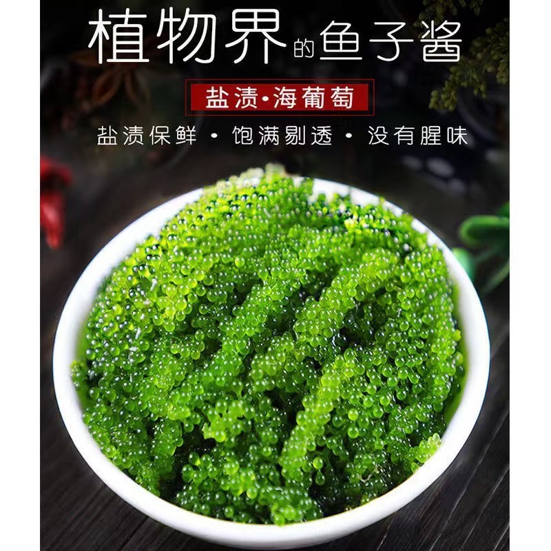 Sea grape 100g ready-to-eat small package seaweed salad shredded sushi ...