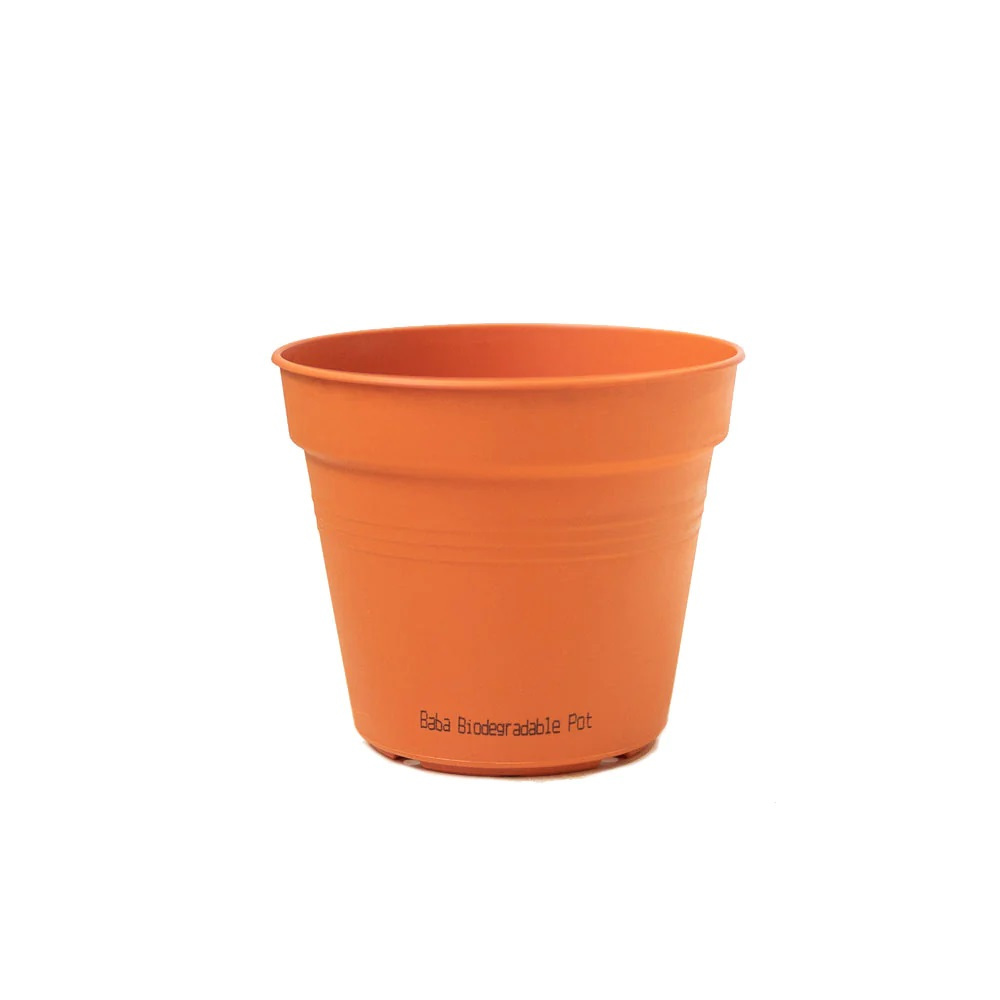 Baba Pot TP-105 Pots Cotta 10.5cmD x 8.5cmH (1pc) | Shopee Malaysia