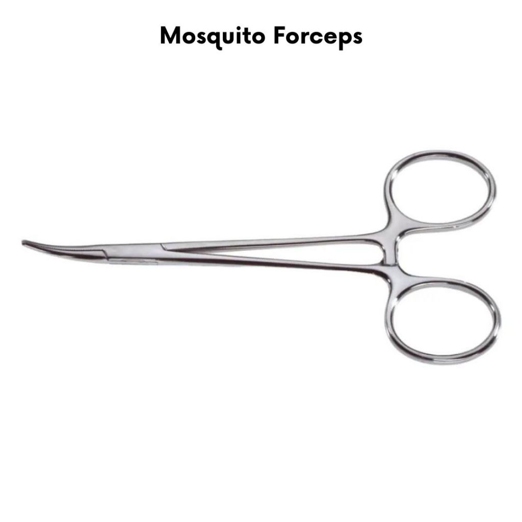 Stainless Steel Reusable Hemostatic Mosquito Forceps Surgical Dental ...