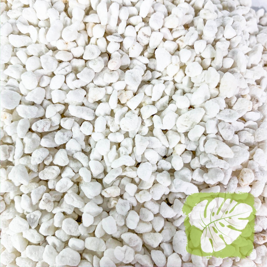 Perlite 2 Liter Substrate IOB | Shopee Malaysia