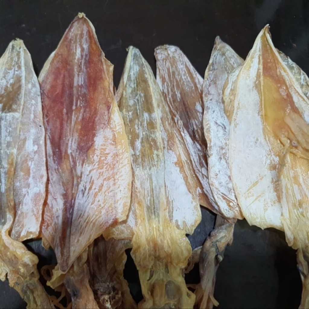 Sotong Kering Sotong Besar Sotong Bakar 鱿鱼干 Dried Squid Cuttlefish AAA ...