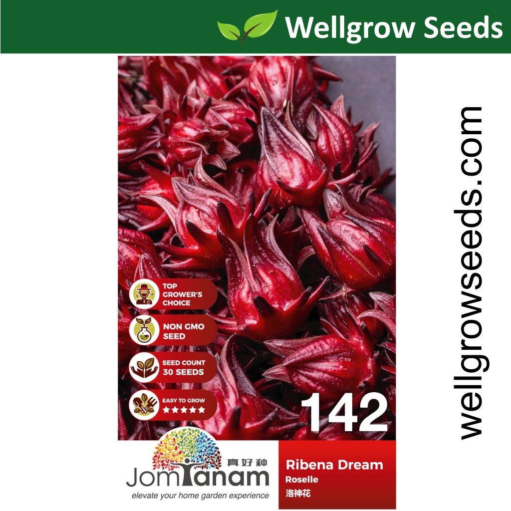 Roselle Ribena Dream (30 seeds) Jom Tanam by Crop Power JT142 洛神花 Biji ...
