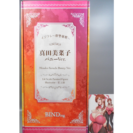Back Order Native Binding 1 4 Ijirare Revenge Hypnosis Minako Sanada