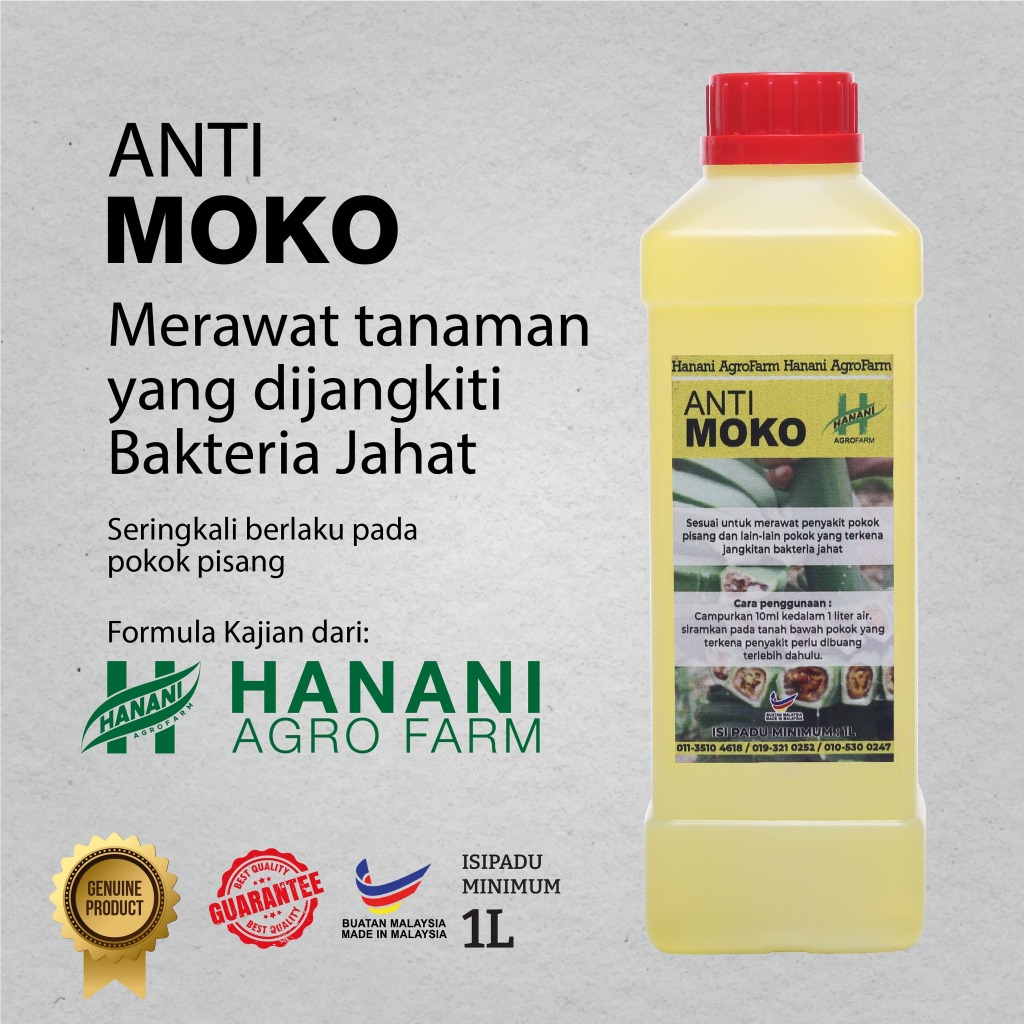 moko penawar penyakit layu pada pokok pisang (antimoko) | Shopee Malaysia