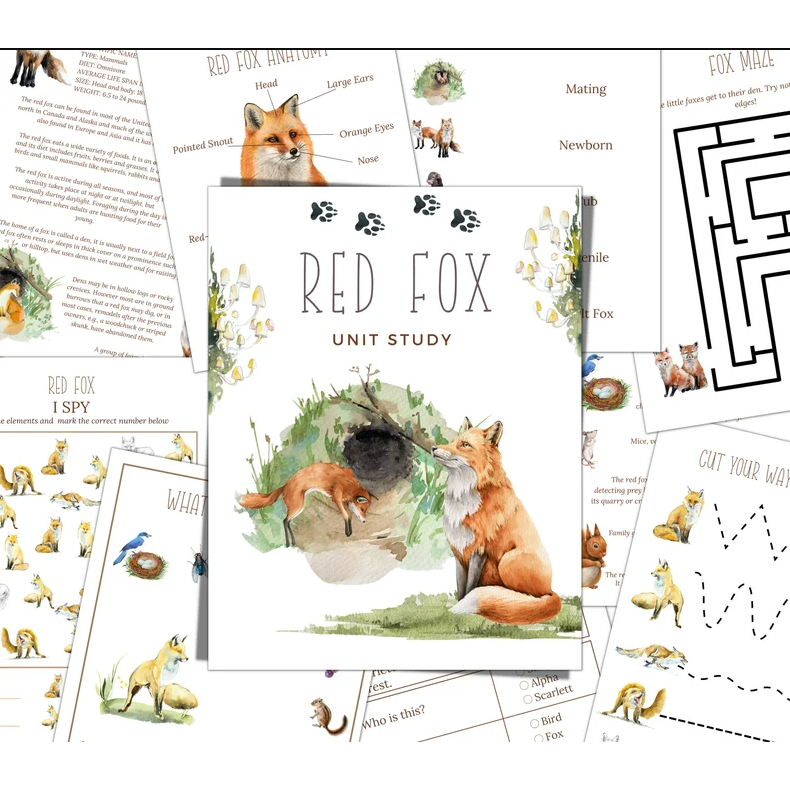 PDF] Red Fox Unit Study 57 pgs Preschool Busy Quiet Book Kids Activity ...