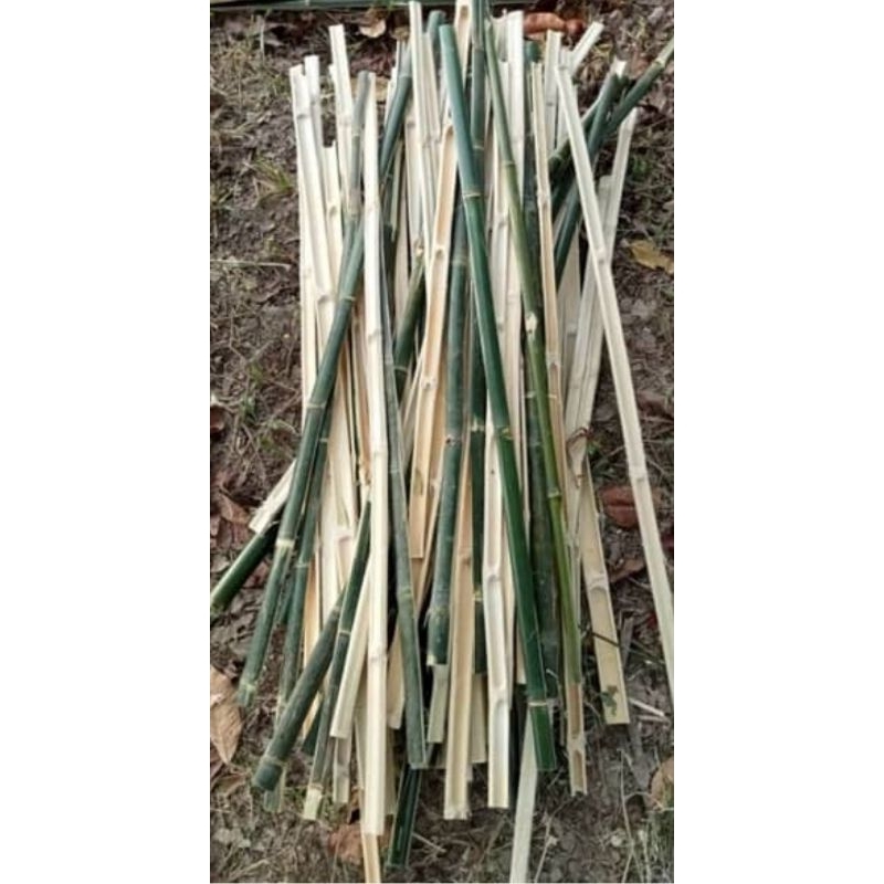 Buluh pancang pendek 60 cm dan 100 cm | Shopee Malaysia