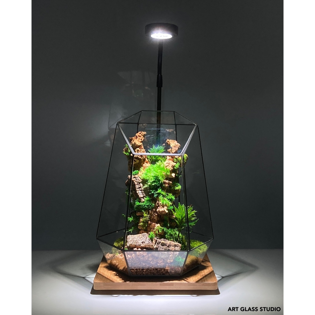 The Hexarium terrarium glass design and built by Art Glass Studio ...
