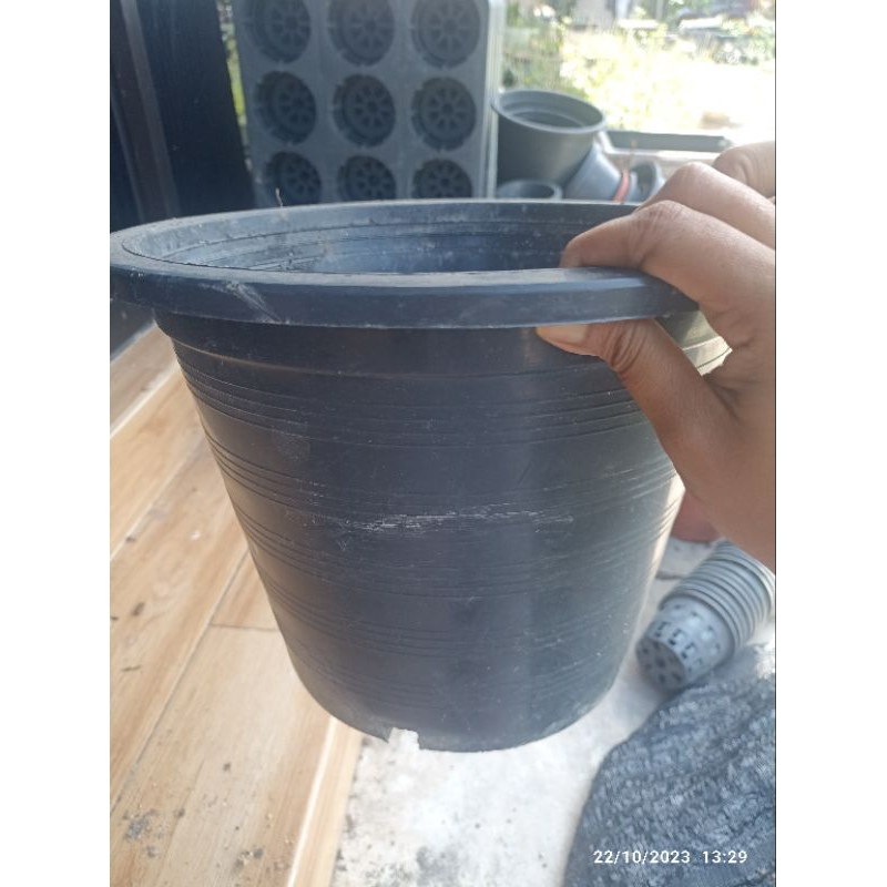 PASU LASAK TERPAKAI SAIZ 12(9.8/10) | Shopee Malaysia