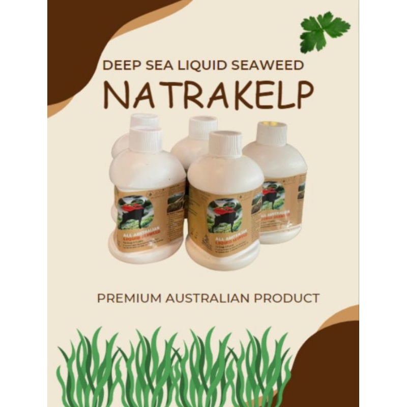 Deep Sea Liquid Seaweed Natrakelp for Dogs – Natural Wellness ...