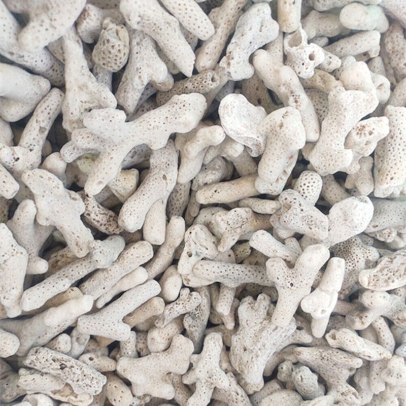 Natural Coral Bones For Aquarium | Shopee Malaysia