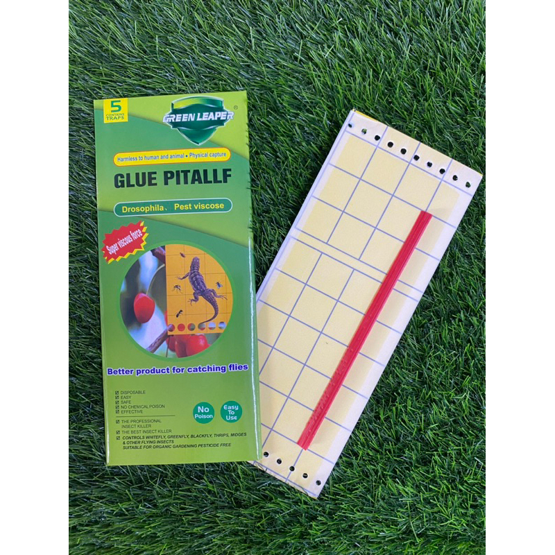 Lizard Insects Strong Adhesive Sticky Glue Trap for Pest Control Fruit ...