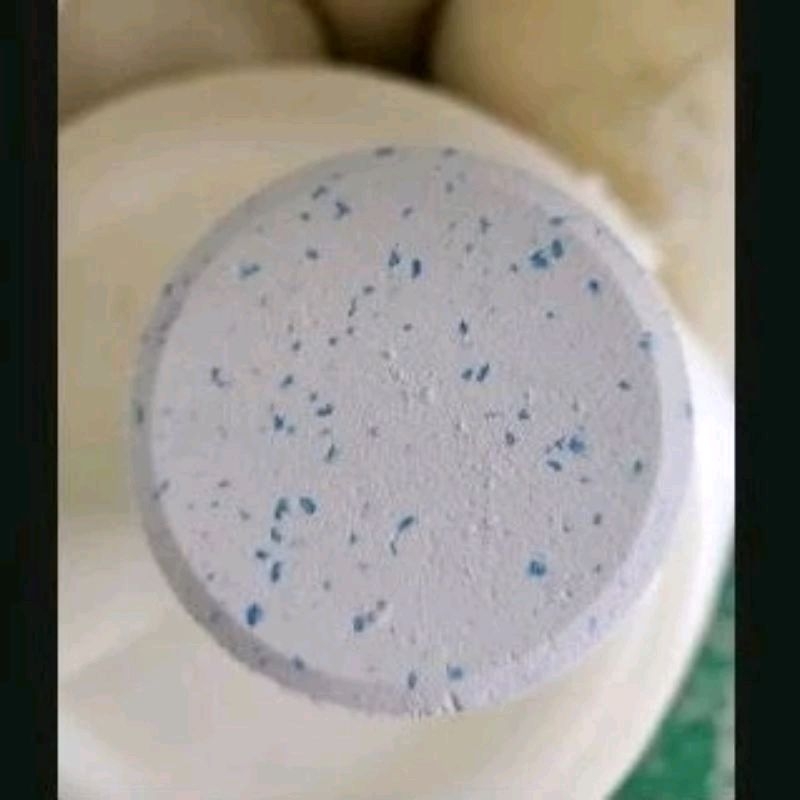 1KG CHLORINE TABLET COPPER TCCA KLORIN FOR SWIMMING POOL | Shopee Malaysia