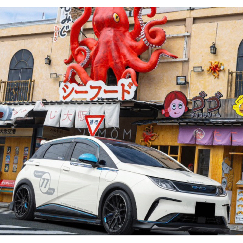 BYD Dolphin FS MG4 bodykit body kit front side rear skirt lip door ...