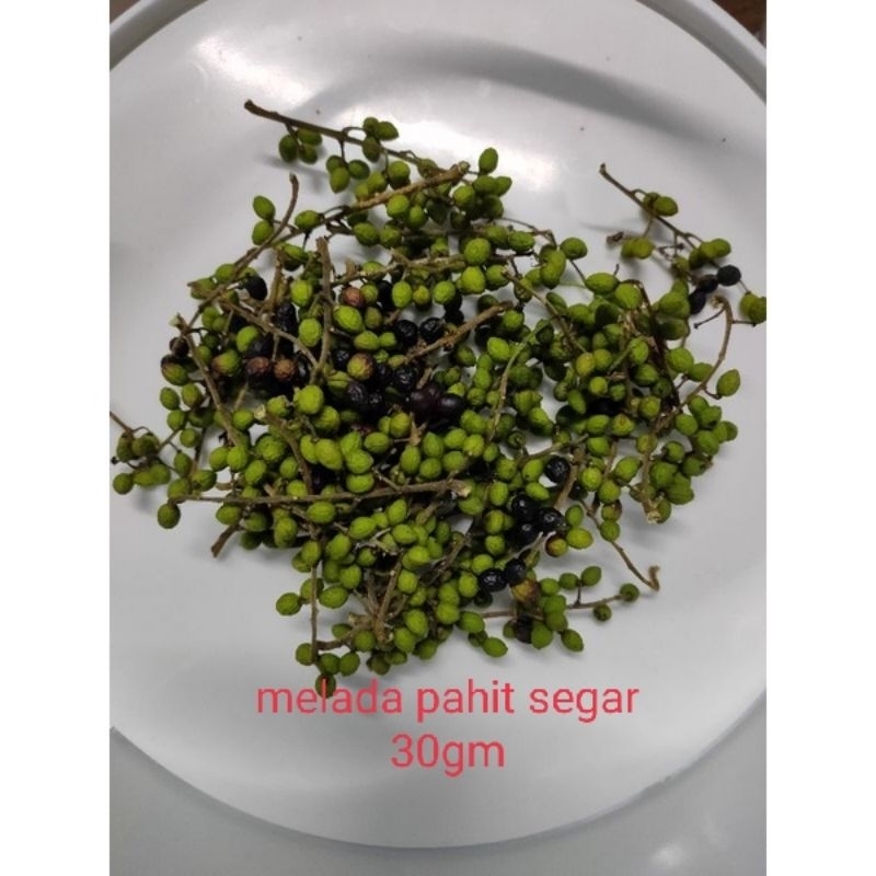 Melada pahit segar 30gm. Melada pahit kering 25gm | Shopee Malaysia