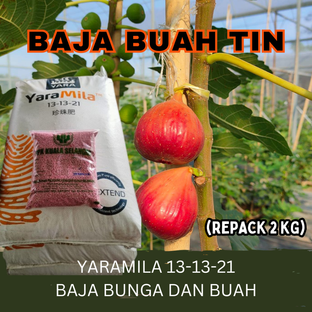 BAJA BUAH TIN REPACK 2 KG / BAJA YARAMILA NPK 13-13-21 / BAJA BUAH TIN ...