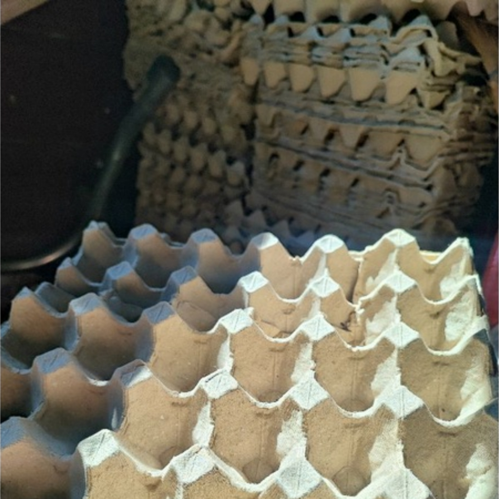 Kotak/Bekas sarang telur /Eco-friendly Recycled Reusable Cardboard ...