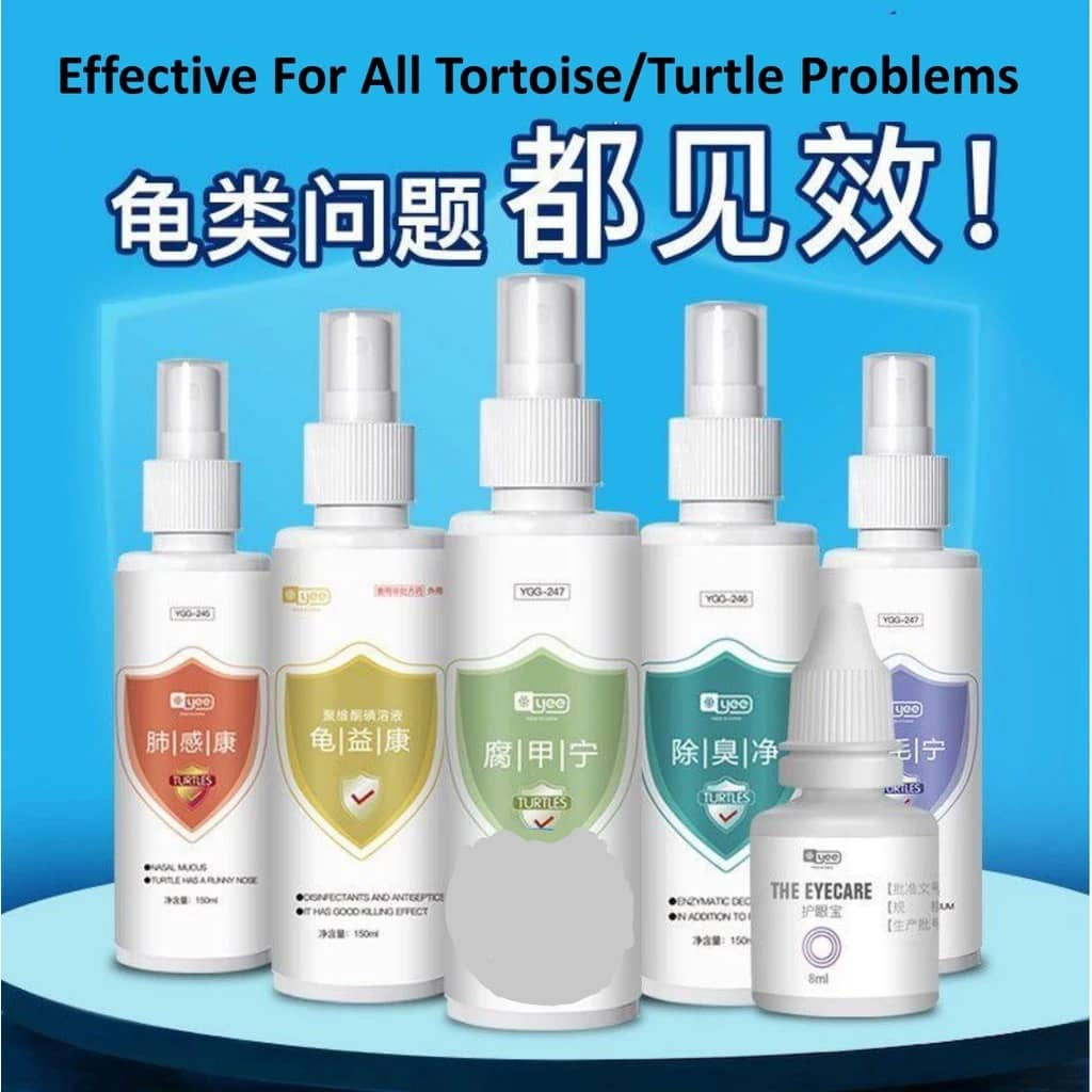 Tortoise Turtle Medicine Healthcare White Fur Ulcers Shelf Diseases ...