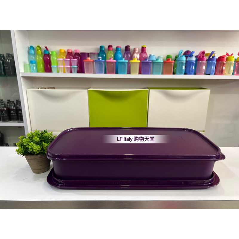 Tupperware Shallow Carry All 3.2L with Extra Seal | Shopee Malaysia