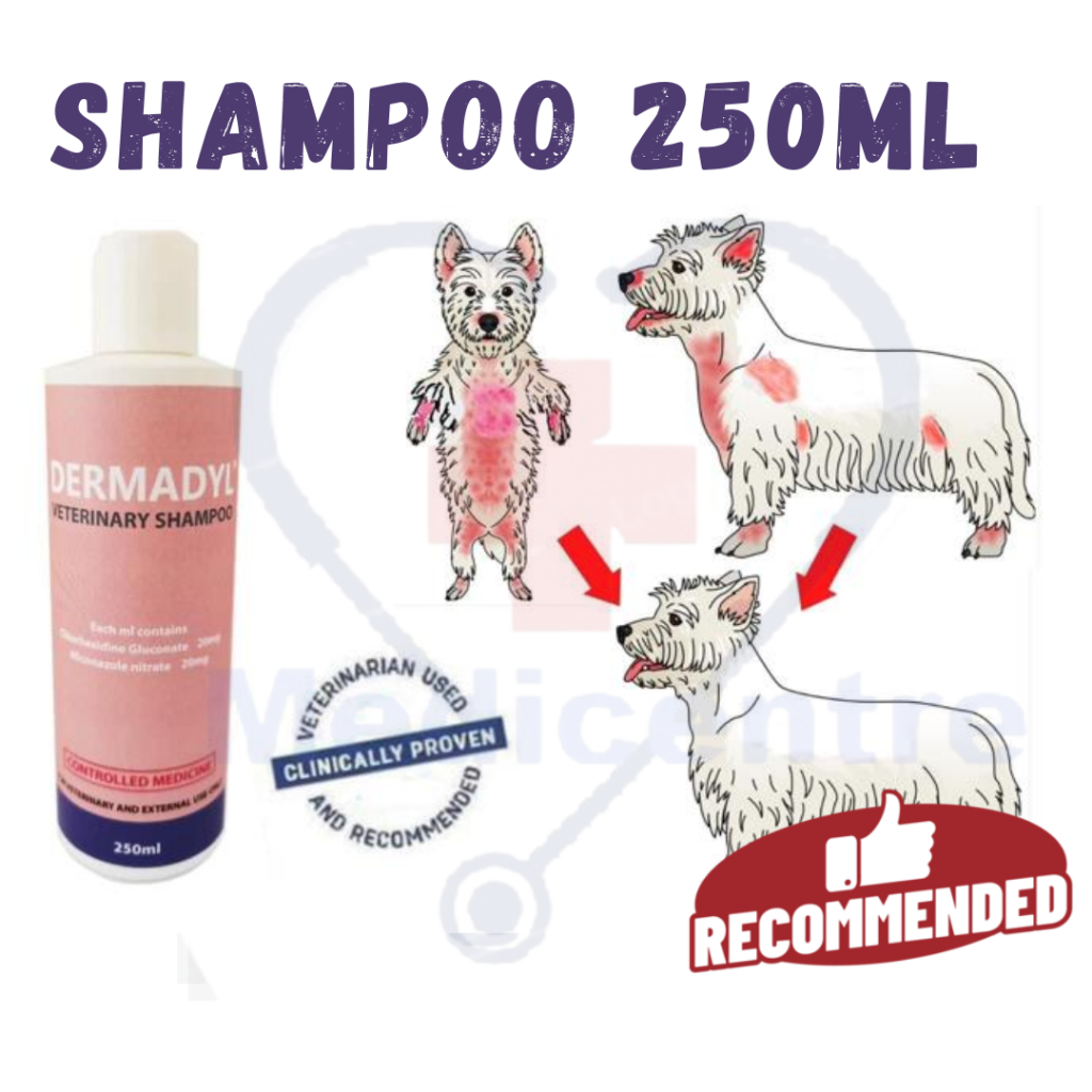 EXP 12/24 Dermadyl Veterinary Shampoo Malaseb Anti Itch Cat Dog Fungus ...