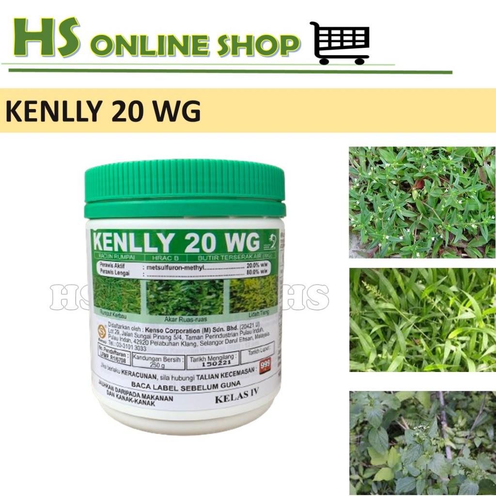 KENLLY 20WG (Sama Dengan Ally) 250gm Kenso Anak Kayu/Anak Pokok ...