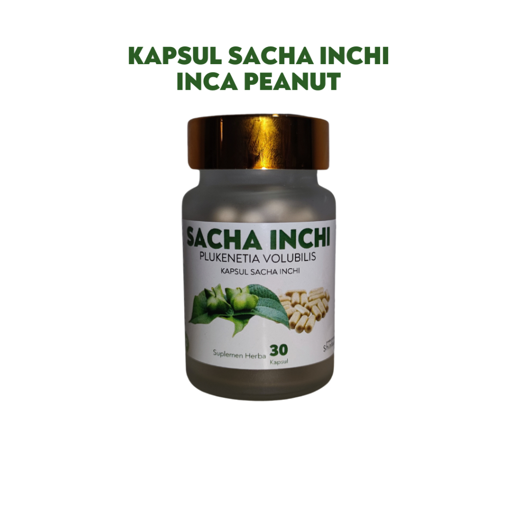 Teh Sacha Inchi | Plukenetia Volubilis Tea | Shopee Malaysia