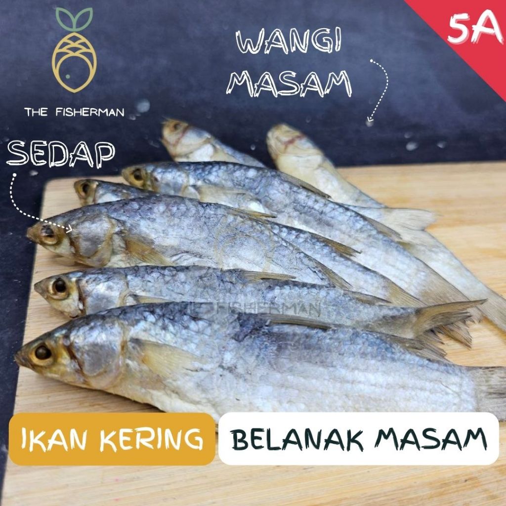 🐟Ikan Masin Belanak Ikan Belanak Masin Tanjung Dawai Ikan Belanak Masam ...