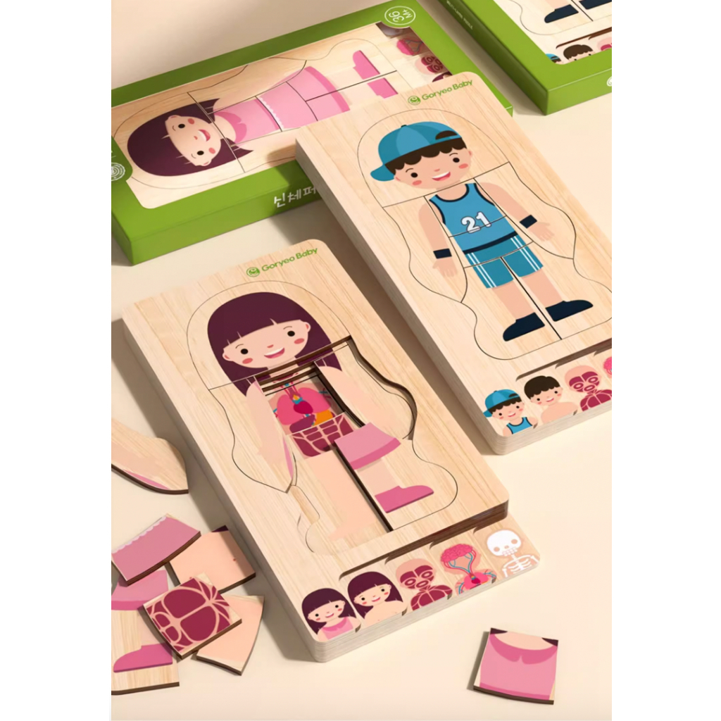 Montessori Wooden Human Body Structure Puzzle / Anatomy System puzzle ...