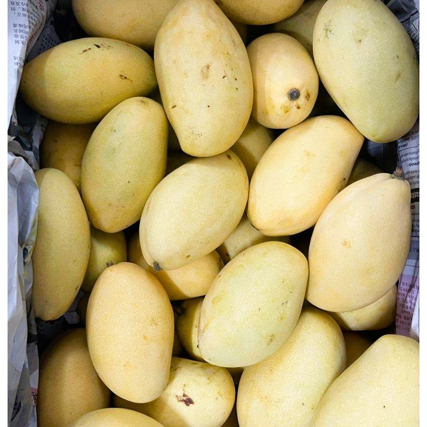 MANGGA SUSU MANIS SEGAR / KILO | Shopee Malaysia