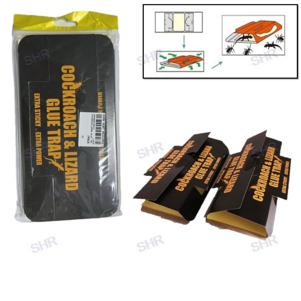 Perangkap Cicak Dan Lipas / Cockroach And Lizard Sticky Glue Trap ...